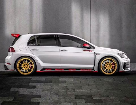 MK7.5 GTI TCR Street Edition Roof Wings - Premium DeutschCarbon